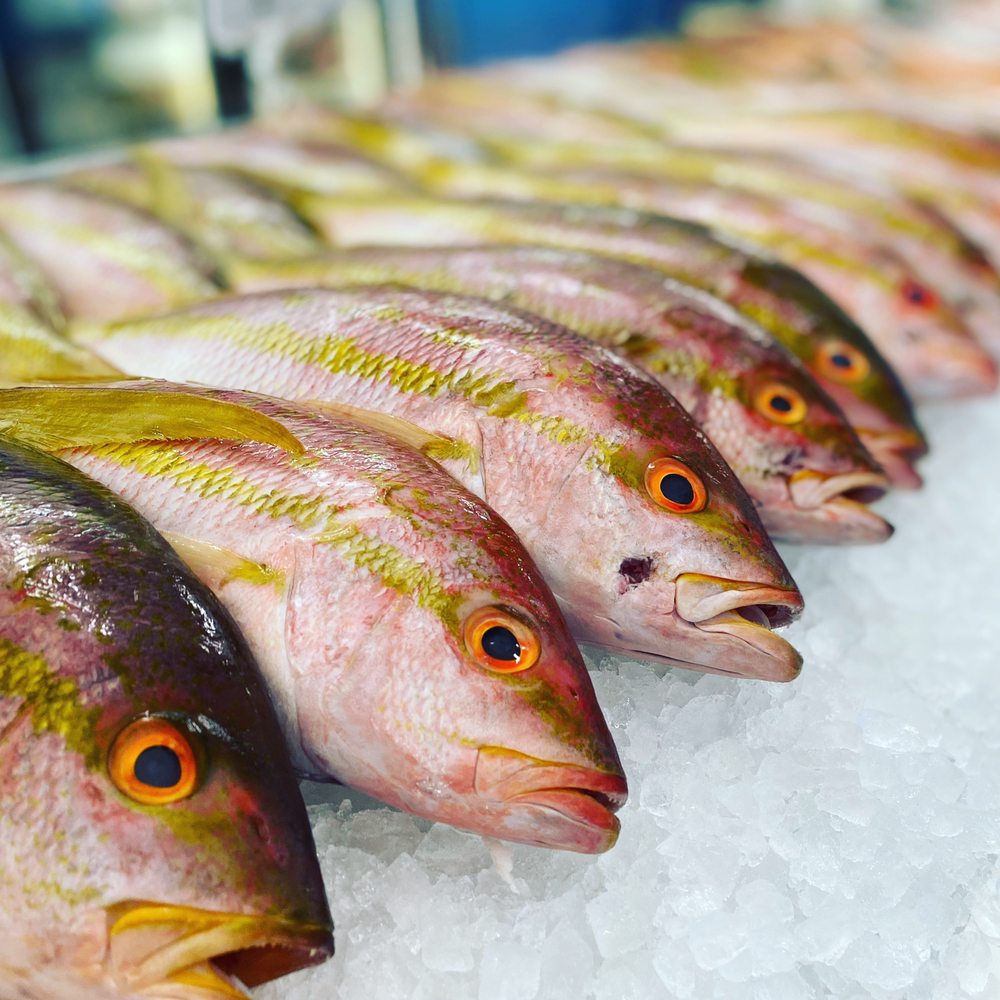 Collections – Key Largo Fisheries