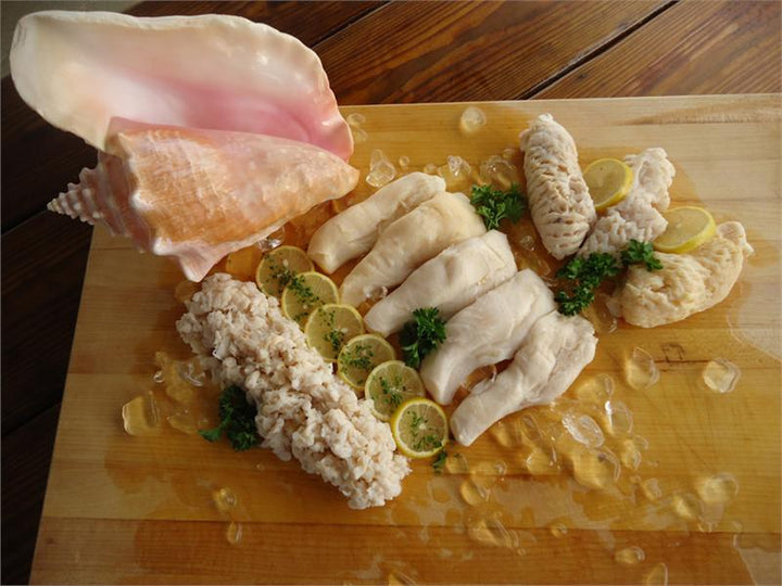 Fresh Conch Meat for Sale Online - Key Largo Fisheries