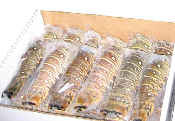 Lobster Tails, Frozen - 10lb Box – Key Largo Fisheries