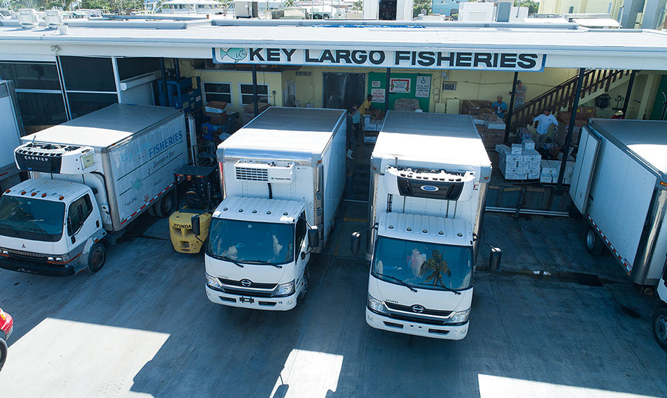 About Key Largo Fisheries | Fresh Florida Seafood