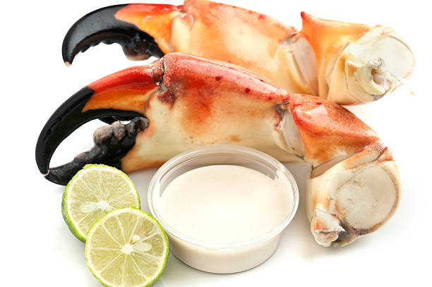 Colossal Florida Stone Crab Claws - Key Largo Fisheries